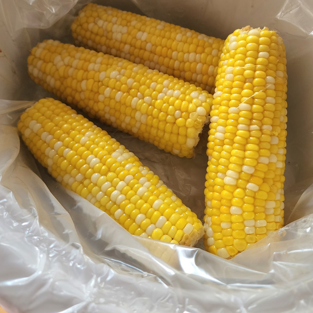 Slow Cooker Corn on the Cob – Busy Being Tara